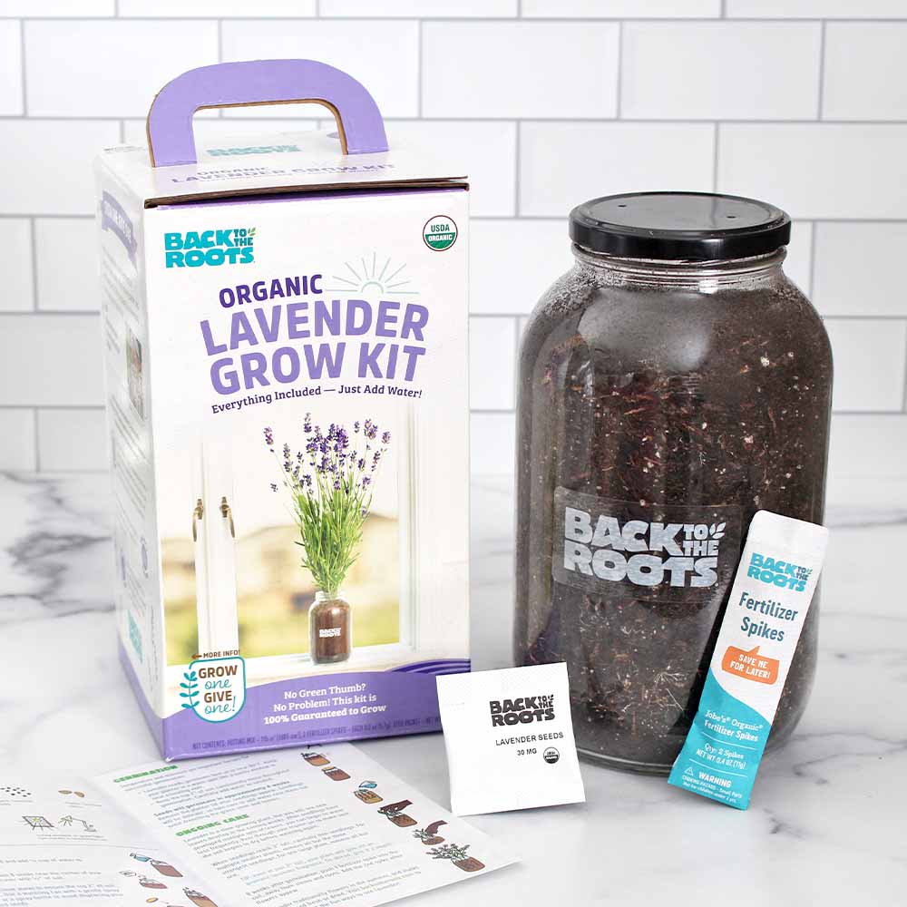 Back To The Roots Organic Windowsill Lavender Planter | Full Circle