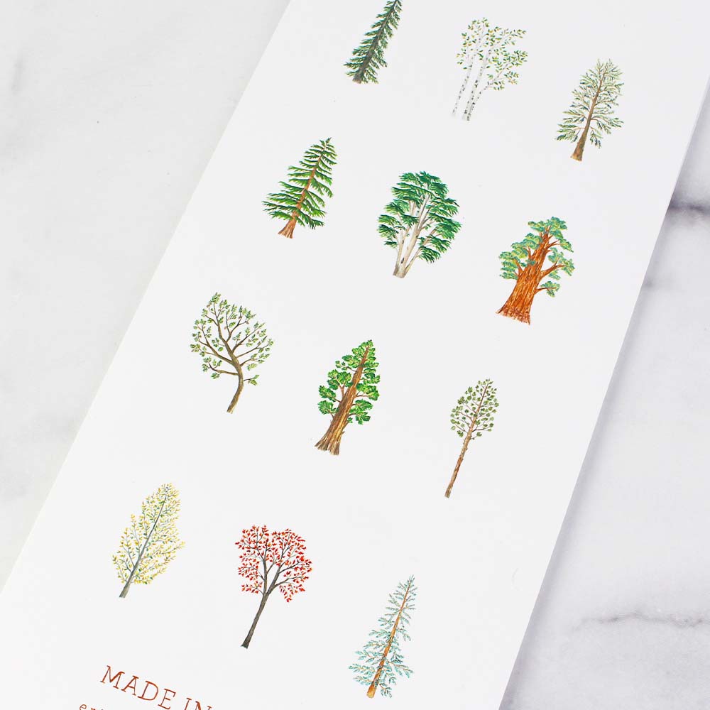Erin Vaughan Illustration 2024 North American Trees Calendar | Full Circle